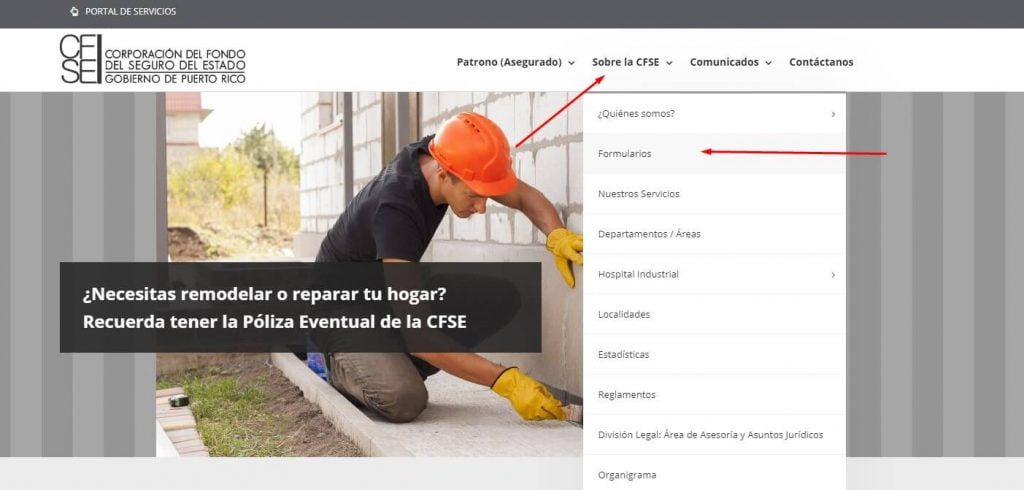 Cómo Obtener, Llenar e Imprimir el Formulario CFSE-373